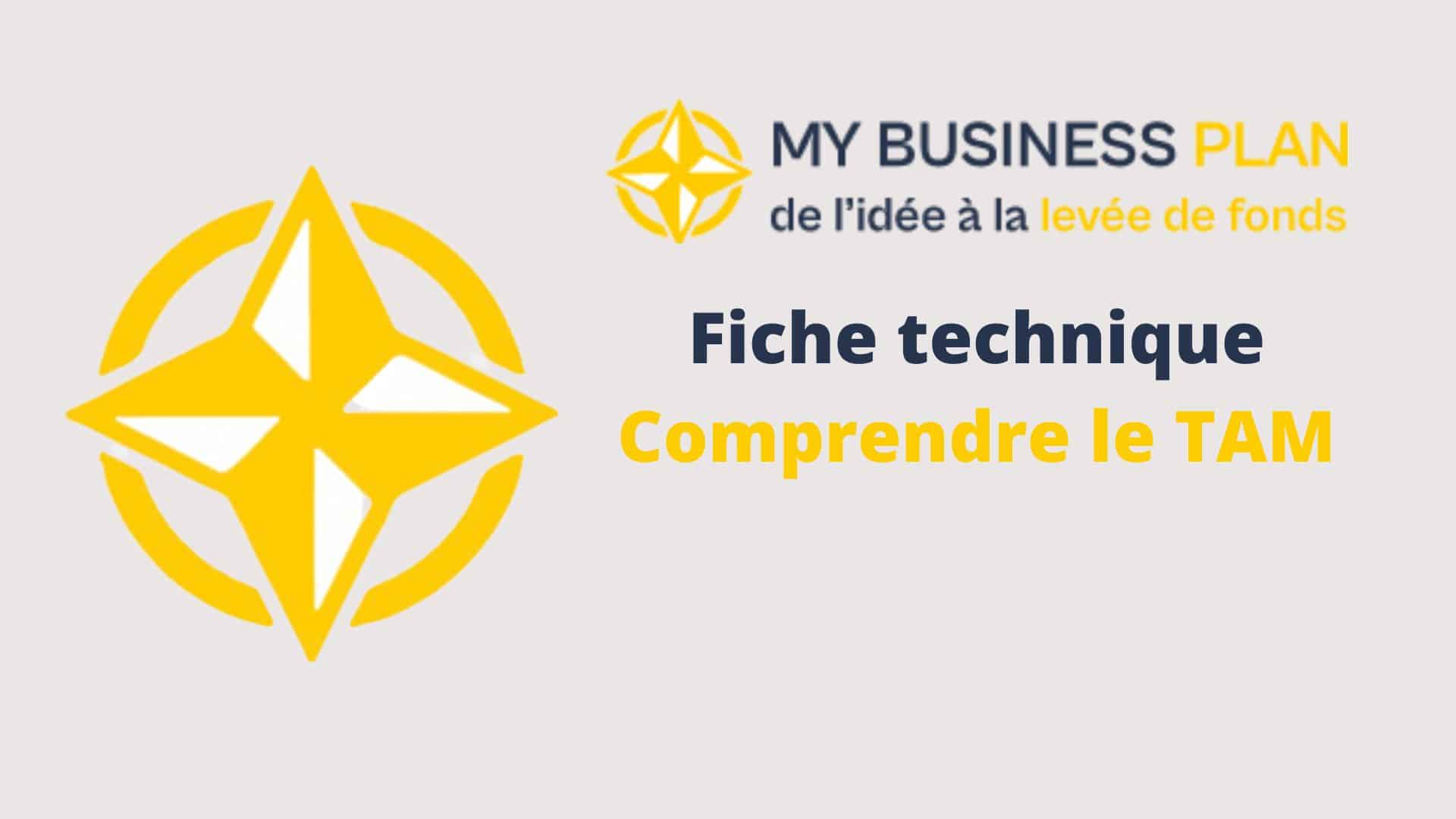 Qu'est ce que le TAM total adressable market